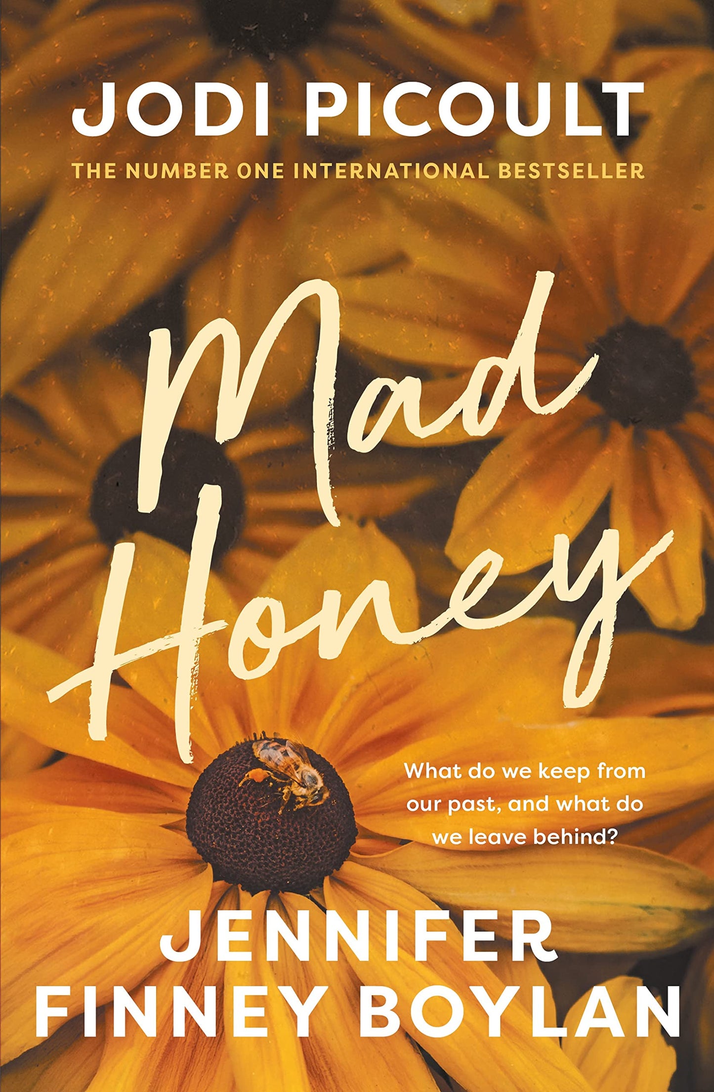 Mad Honey [Paperback] Picoult, Jodi and Finney Boylan, Jennifer ...